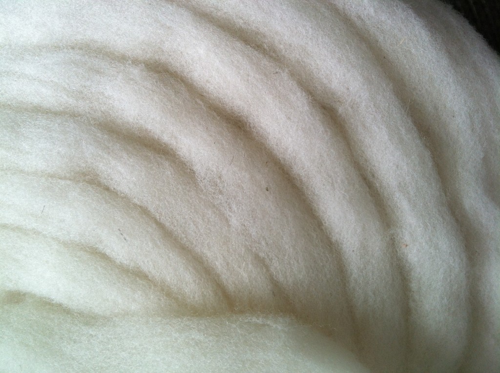 Wool | Prairie Plum Farm